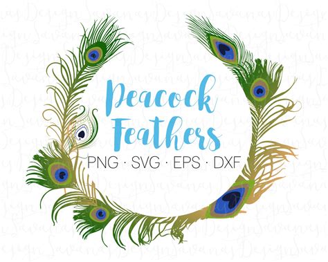 Peacock Feathers Svg Peafowl Feathers Peacock Svg Peacock Etsy