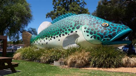 A Complete Guide To Swan Hill Vic Australian Geographic