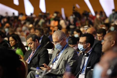 НҮБ ын цөлжилттэй тэмцэх Cop17 хурлал 2026 онд Монголд болно
