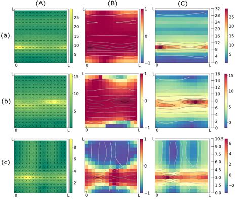 Snapshots Of Final States Obtained From Monte Carlo Annealing Runs