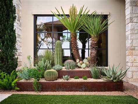 Cactus Garden In Front Of House Cacti Garden Outdoor Cactus Front