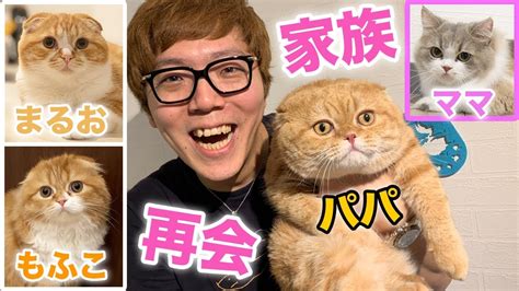 感動まるおともふこがパパ ママと再会ママ美人パパが伝説級だったw家族再会 YouTube