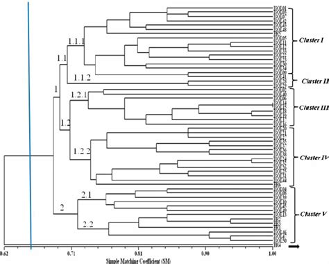 Dendrogram Of Genetic Similarity Compiled From Isolates Obtained By