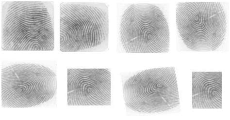 Figure 9 From Finger Print Enhancement Using Minutiae Based Algorithm