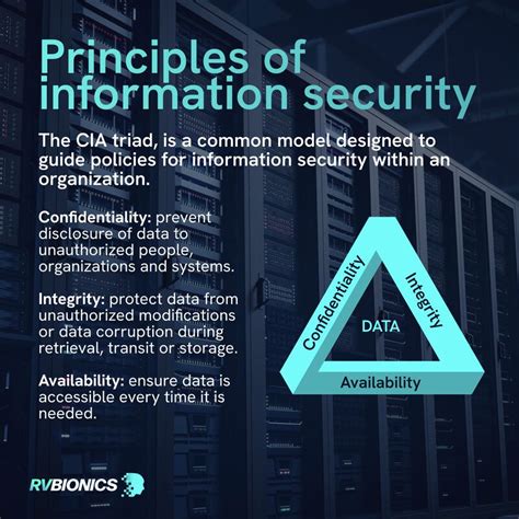 Rvbionics On Linkedin Cybersecurity Datamanagement