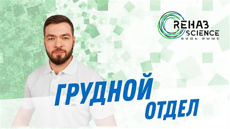 Грудной отдел Youtube