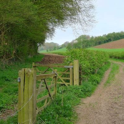 Flutter Study Tumblr Com Tumbex