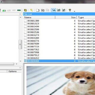 Recovery Of Deleted File Download Scientific Diagram
