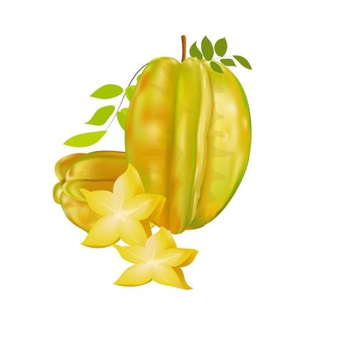 Premium Vector Carambola Or Star Fruit Whole Fruit And Slice Vector