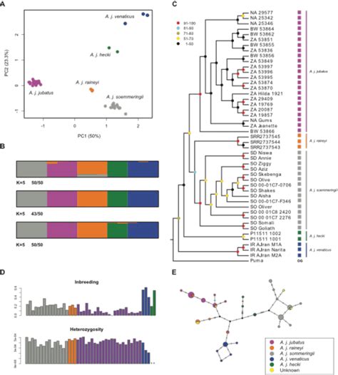 Population Genomic Analyses Of Genome Wide Snp Data For 43 Individuals