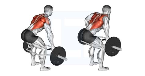Dumbbell Single Arm Bent Over Row Guide Benefits And Form