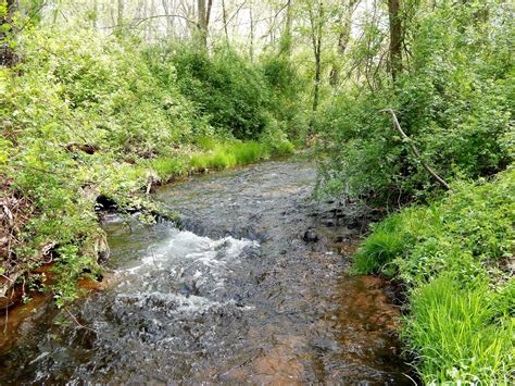 Small Stream Reflections In The Riffles