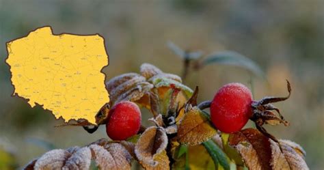 Pogoda Zimna Nie Odpuszcza Pierwsze Uderzenie W Nocy Alerty
