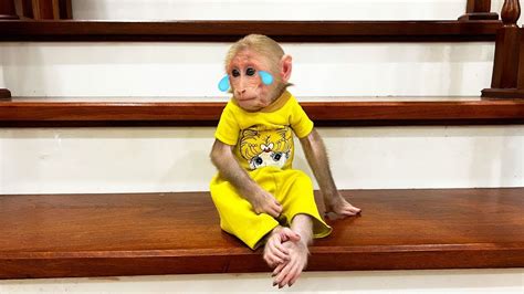 Bibi Cried And Panicked Looking For His Dad YouTube