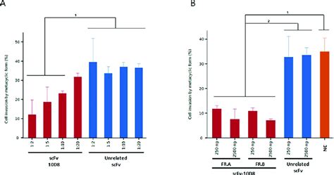 Effect Of Pre Incubation Of Metacyclic Trypomastigotes Mts With Download Scientific Diagram