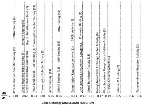 Gene Ontology Molecular Function Terms By DN DS Value Representative
