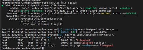 OpenLitespeed Web Console Not Working Support And Discussion