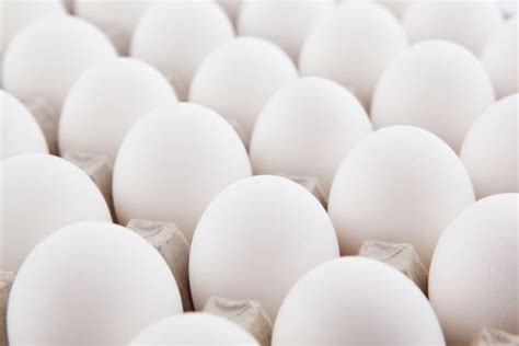 Optimizing Hatching Egg Management Laying Hens