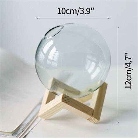 Mini Glass Bubble Vase Shop Online On Roomtery