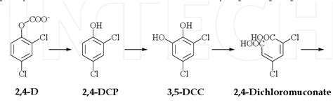 Table 1 From Flow Injection Biosensor System For 2 4 Dichlorophenoxyacetate Based On A Microbial