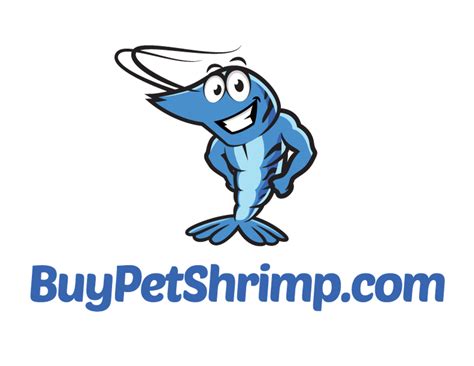 Assorted Rhizomes Buce Mix Pack Buypetshrimpcom