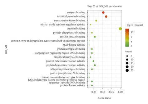 Go And Kegg Enrichment Analysis Of Hub Genes Download Scientific Diagram