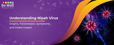 understanding nipah virus origins transmission symptoms and global