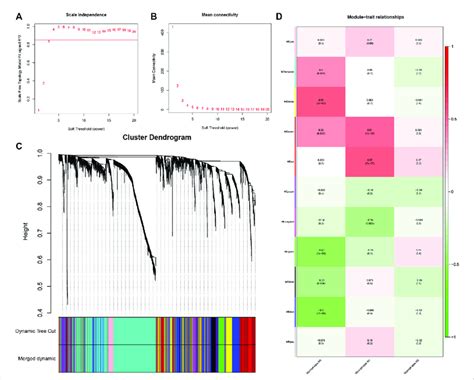 Determination Of Hub Modules In Tb A Identification Of The Scale
