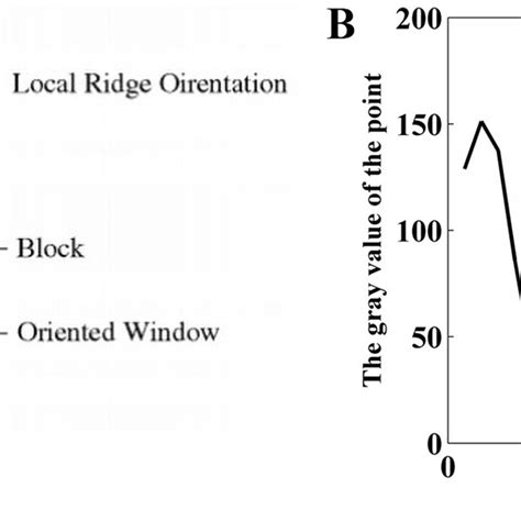 The Window Based Ridge Distance Calculation A Window In A Download Scientific Diagram