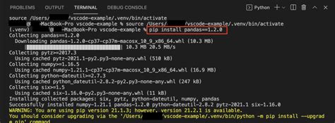 Vscode 45 讓 Pip 安裝和管理 Python Libraries，結合虛擬環境！ Python 編程．圖表