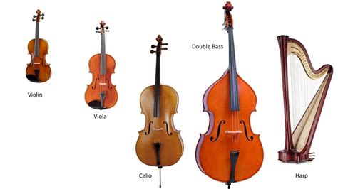 Diferencias Y Similitudes Entre Violín Cello Y Bass Vanessa Mae