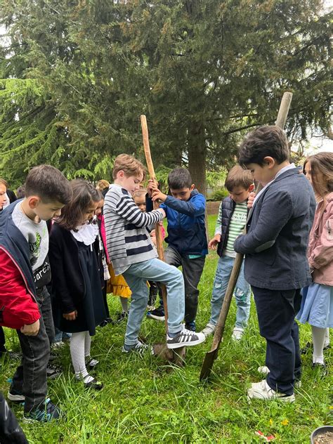 ჩემი პორტფოლიო პროექტი დარგე შენი მომავალი