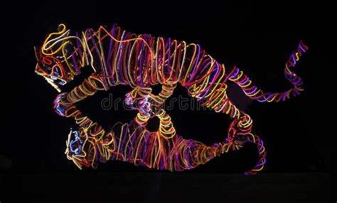 Neon Tiger By Chila Kumari Singh Burman In The Tate Shop Editorial