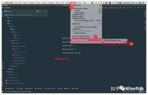 如何使用idea将代码提交至svn 知乎
