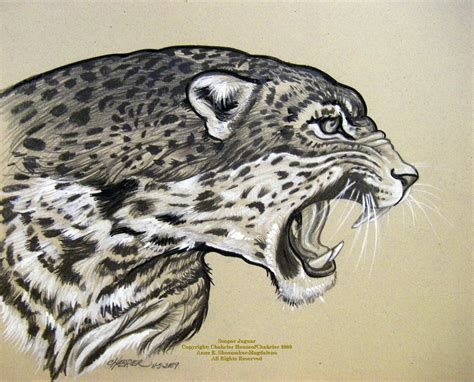 Jaguar Pencil Art Drawing At Marion Akers Blog