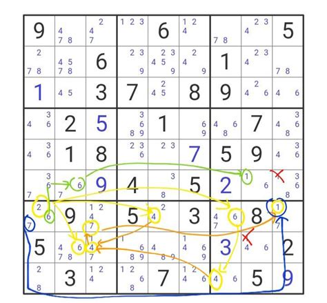 Forcing Chains Nets R Sudoku