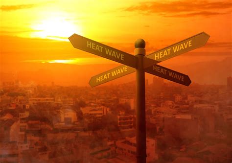 Olas De Calor En Gran Parte Del Mundo