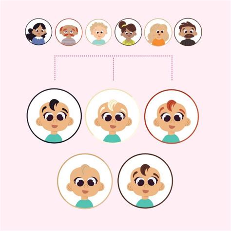 Determining Eye Color Punnett Square