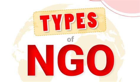 Understanding The Various Types Of Ngos Worldwide
