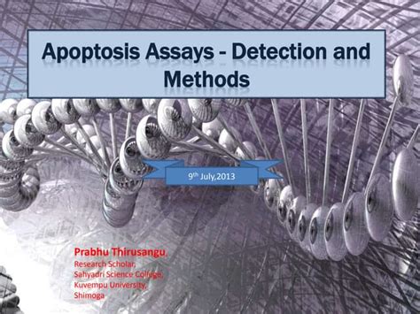 Apoptosis Assays Detection And Methods Pptx