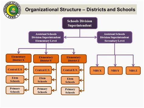 What Is The Structure Of School At Amanda Edmondson Blog