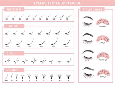 Premium Vector Eyelash Extensions Guide Lashes Extension Types By Thickness Length Curl And
