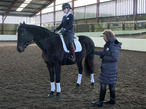 Watch Half Halt With Pammy Hutton Prime Video