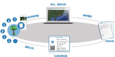 古树名木信息系统河南元丰科技网络股份有限公司官网 古树名木信息系统河南元丰科技网络股份有限公司官网
