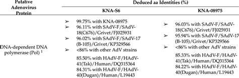 Deduced Amino Acid Aa Identities Of The Putative DNA Dependent DNA