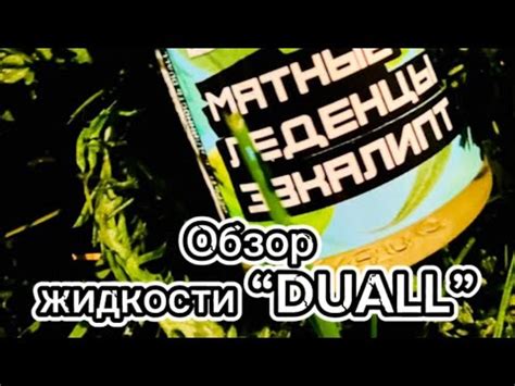 ОБЗОР ЖИДКОСТИ Duall МЯТНЫЕ ЛЕДЕНЦЫ И ЭВКАЛИПТ - YouTube