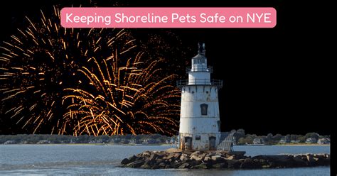5 Ways To Keep Ct Shoreline Pets Comfortable During Fireworks