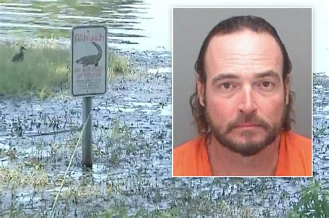 Florida Man Bitten In Face By Alligator While Playing Disc Golf