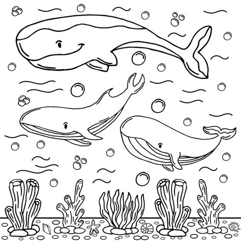 Coloriages Baleine Coloriages Enfants