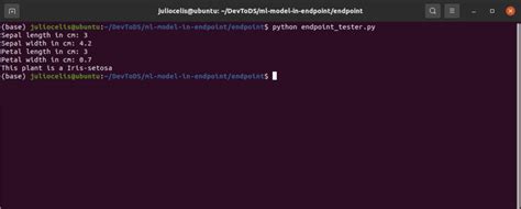 How To Create An Endpoint With A Machine Learning Model The Basic Way